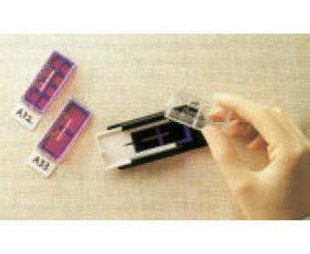 Fiasche per colture cellulari | Steroglass | Steroglass