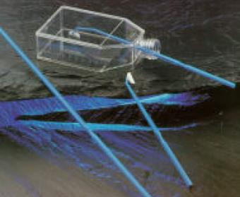 Fiasche per colture cellulari | Steroglass | Steroglass