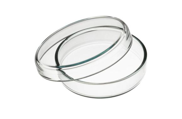 Piastra petri con coperchio in vetro | Steroglass