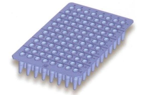 Piastra PCR/Real time 0,2ml 96 Pozzetti High profile | Steroglass