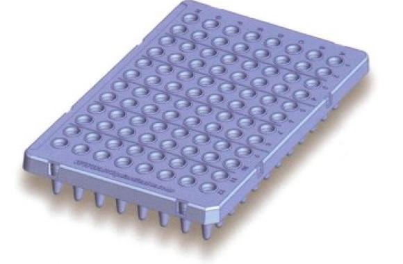 Piastra PCR/Real time 0,2 ml 96 Pozzetti High profile | Steroglass