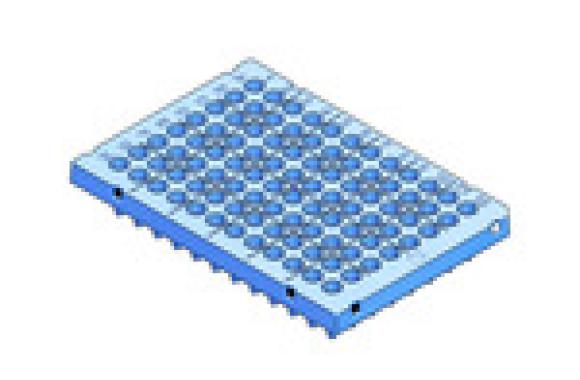 Piastra 96 pozzetti 0,2 ml universale Semi-Skirted | Steroglass